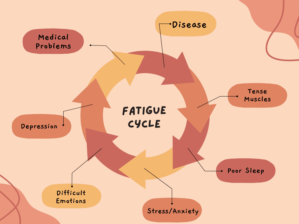 Science Behind Fatigue and Methods to Lower it. Why Do Always Feel ...